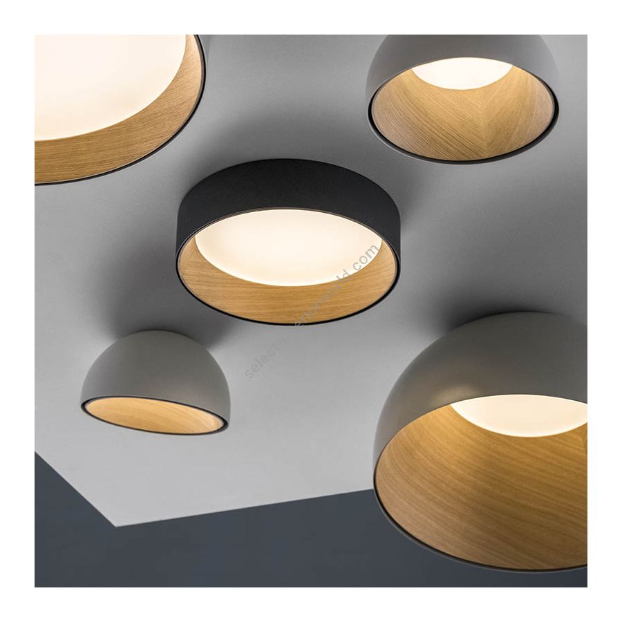 Buy Vibia / LED Flush Mounts / Duo 4876, 4880 Online, price