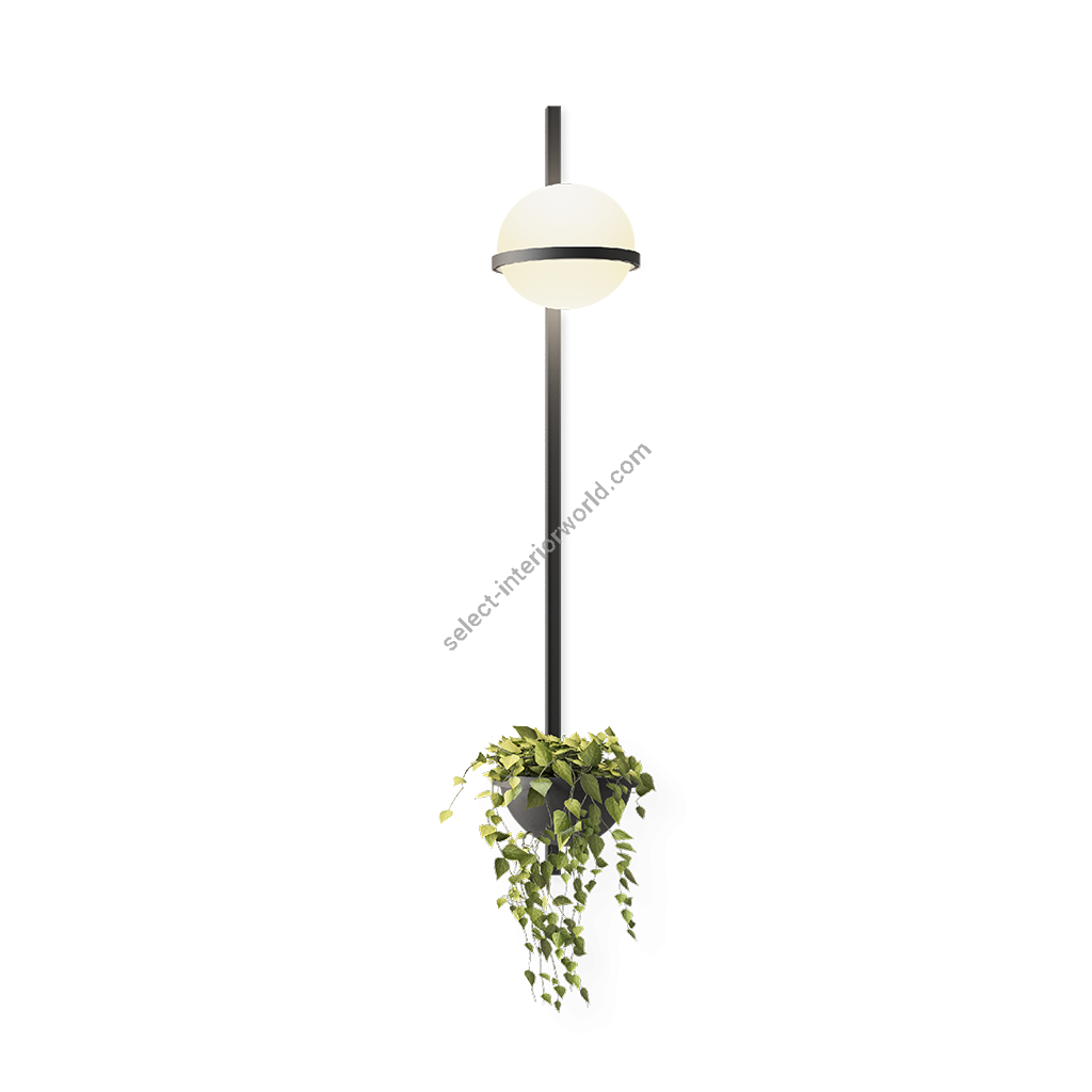 Buy Vibia / LED Wall Lights / Palma 3714, 3716, 3718 Online